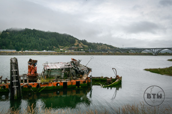 Drenched! A Wet Rogue River Jet Boat Adventure