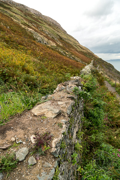 A Glimpse of the Greystones to Bray Cliff Walk