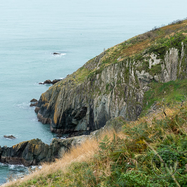 A Glimpse of the Greystones to Bray Cliff Walk