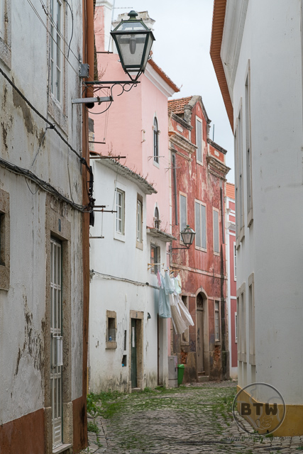 A Glimpse of Santa Cruz - BIG tiny World Travel