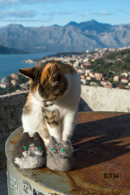 A Glimpse of Kotor's Castle of San Giovanni - BIG tiny World Travel